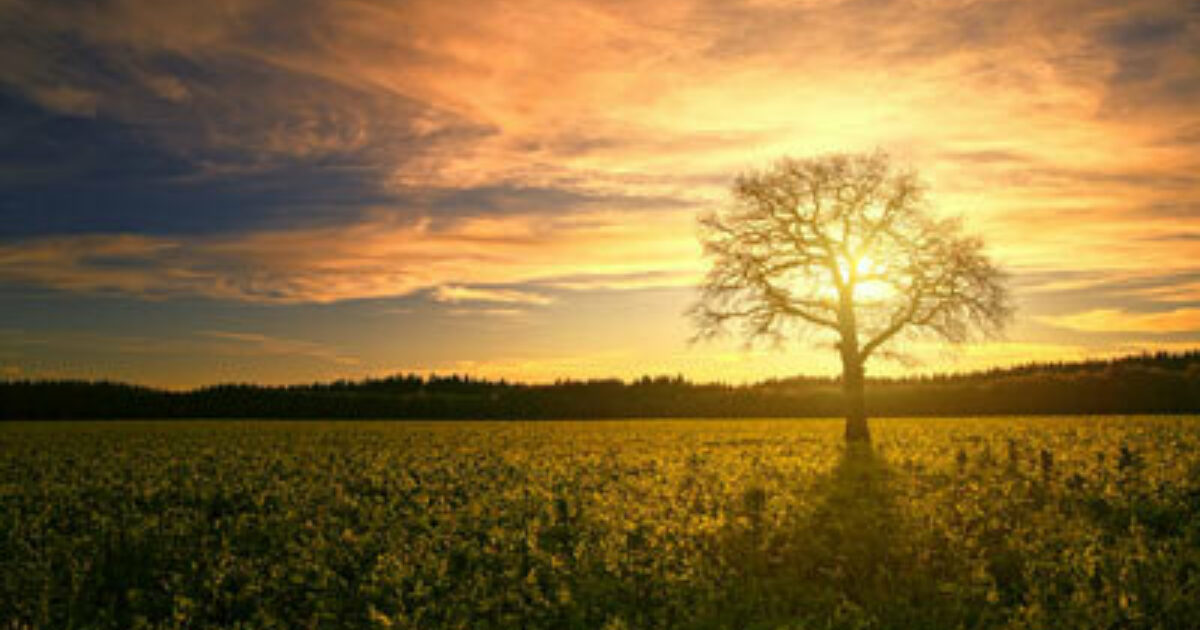 Anglican Church of Perth | Anglican Church Diocese of Perth