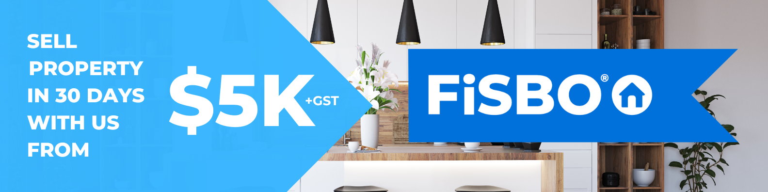 FiSBO: The Internet Powered Private Sale