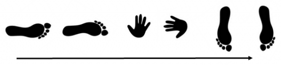 How to Cartwheel: A Complete Guide | Artemis Centre