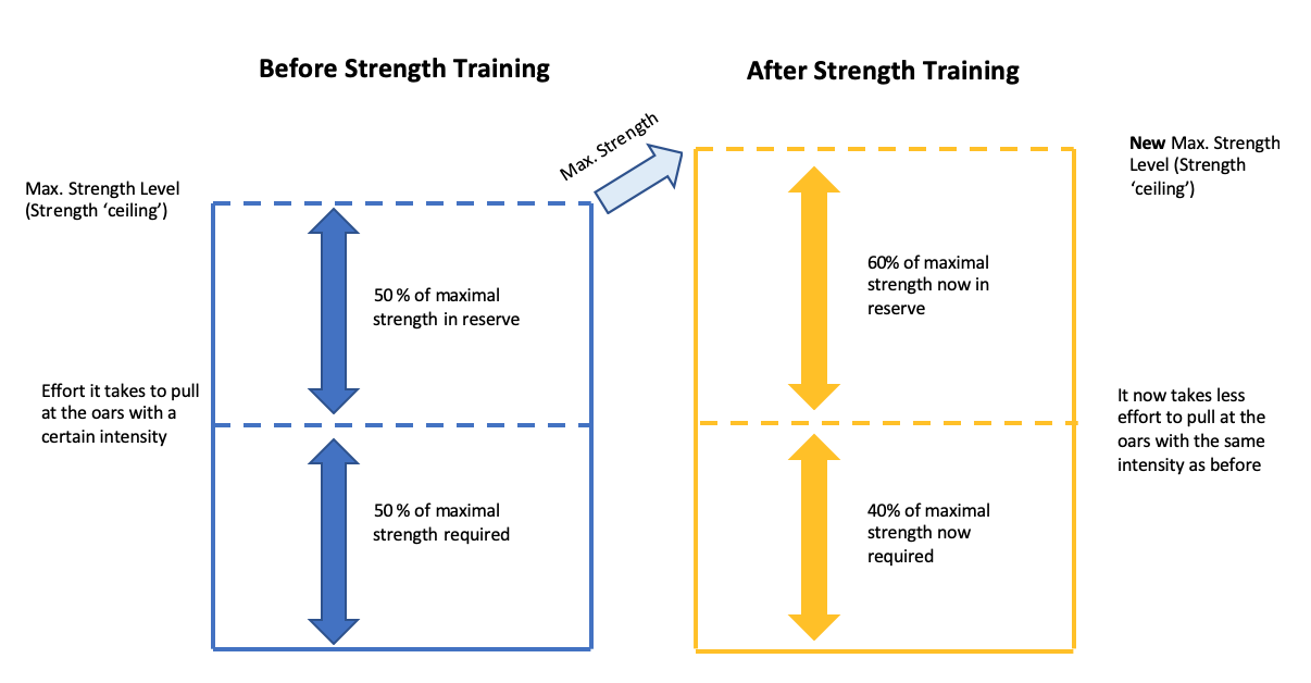 Strength Training for Youth Rowers | Artemis Centre