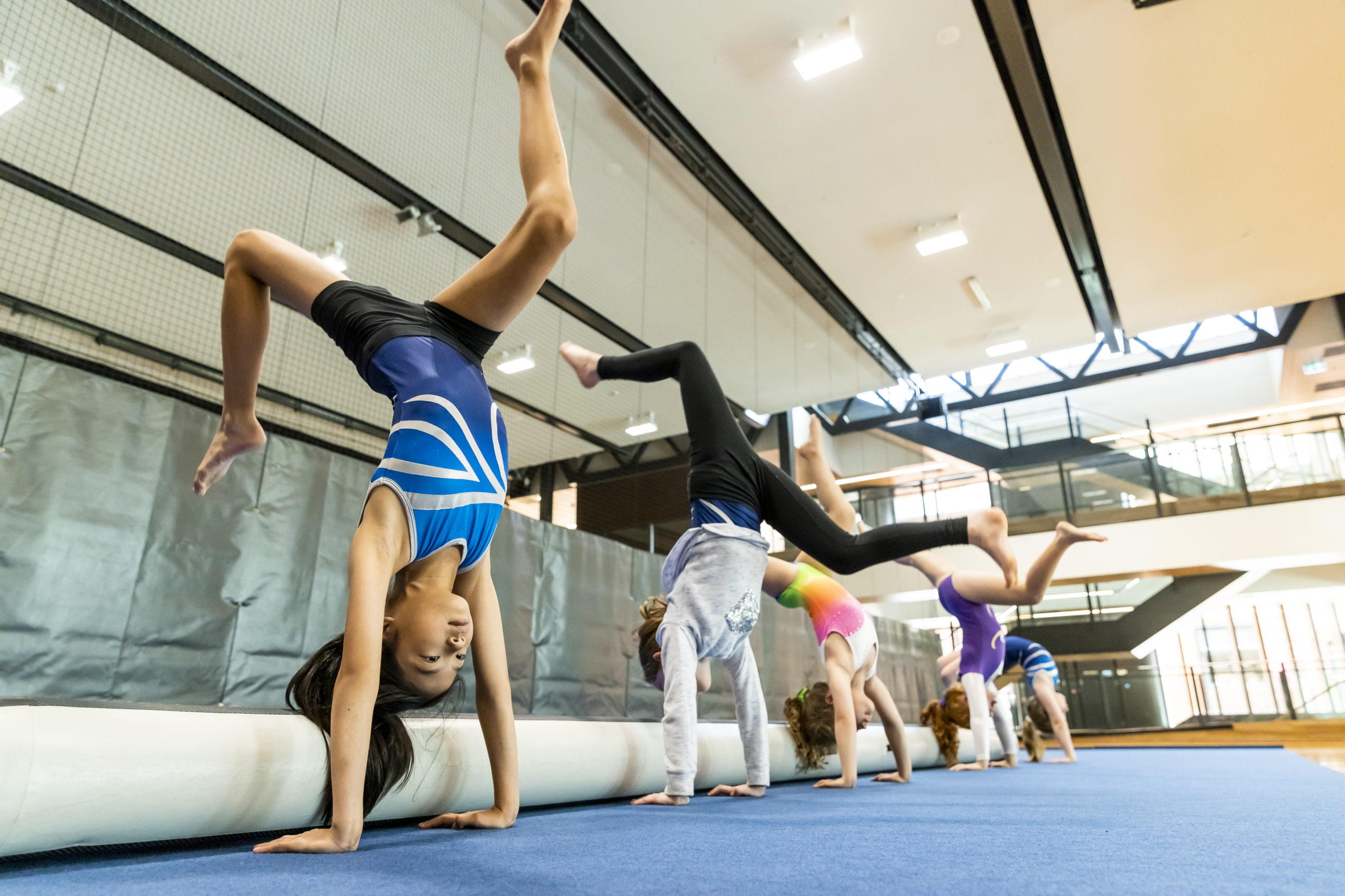 Artemis Gymnastics | Artemis Centre