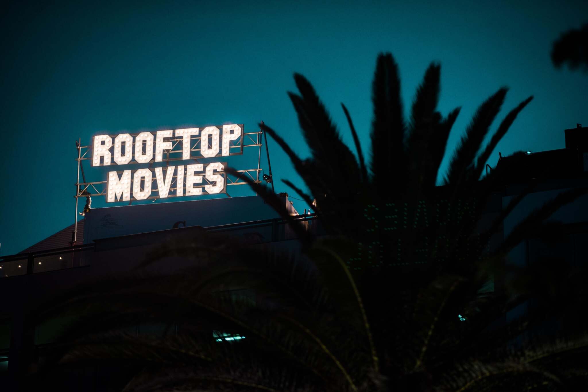 Rooftop Movies | Perth's favourite open-air cinema!