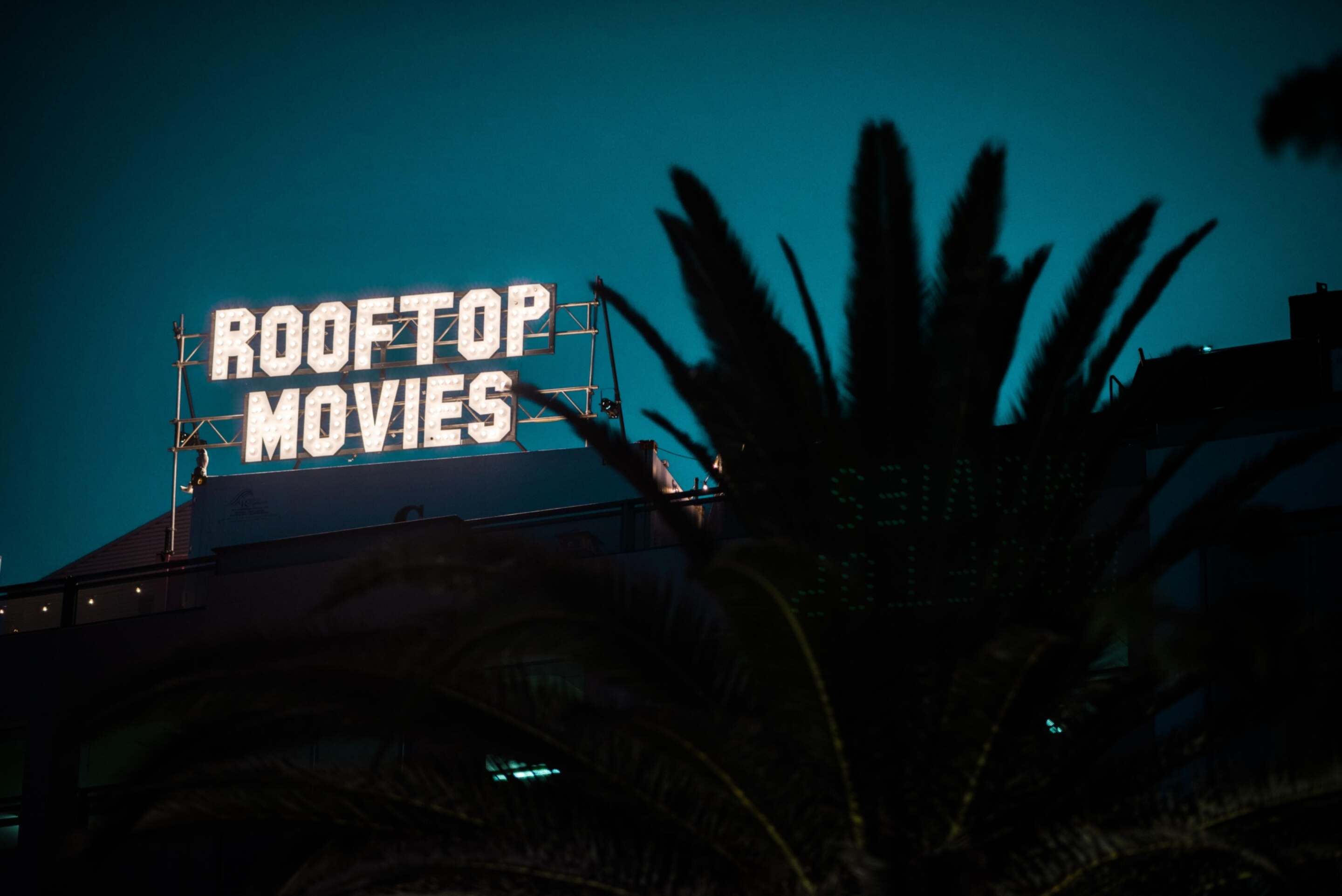 Rooftop Movies | Latest News