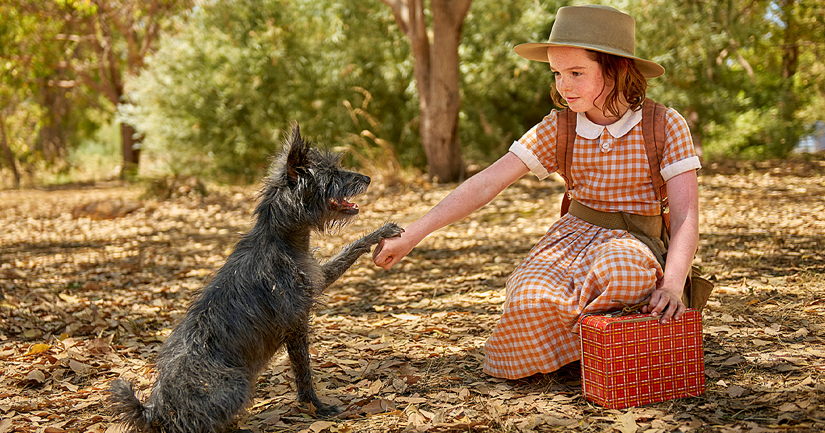 Rooftop Movies | Runt | Rooftop Movies