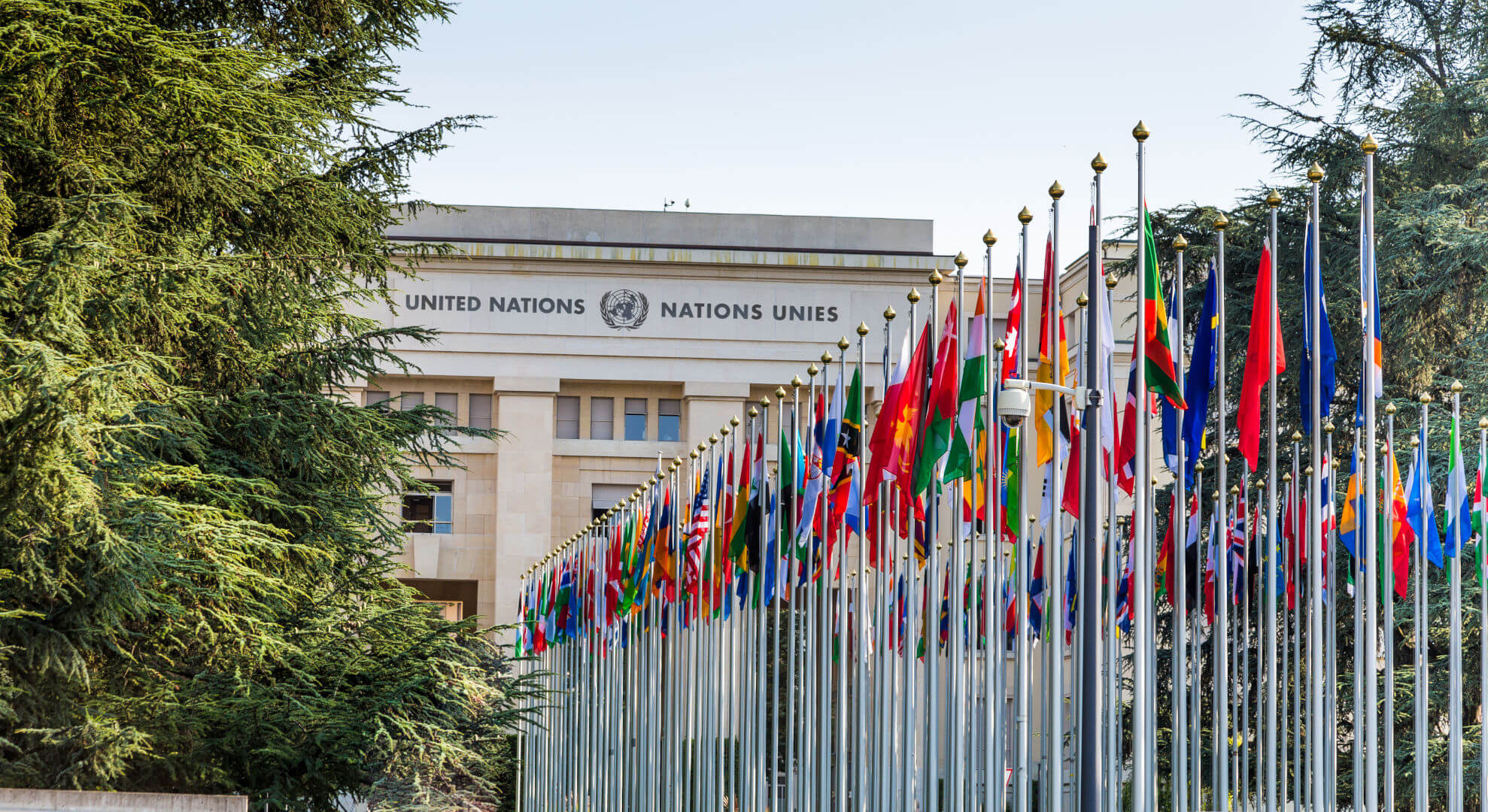 Bali Process Membership - The Bali Process