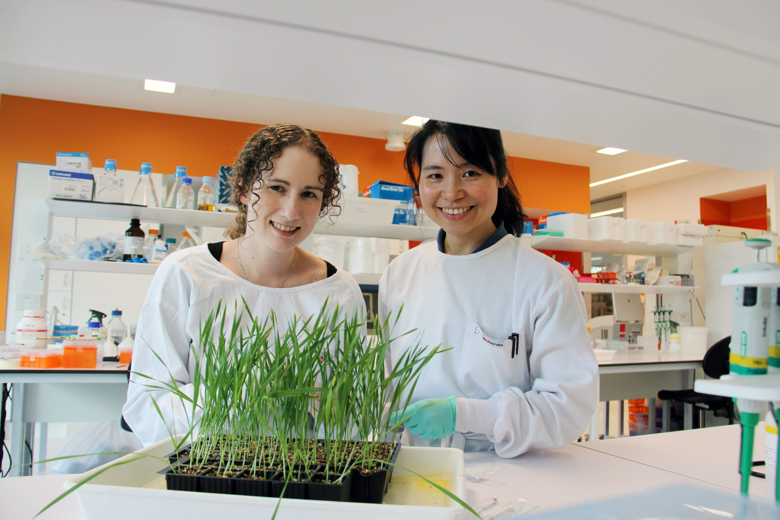 Tackling ToxB – how CCDM researchers are working to protect Australian ...