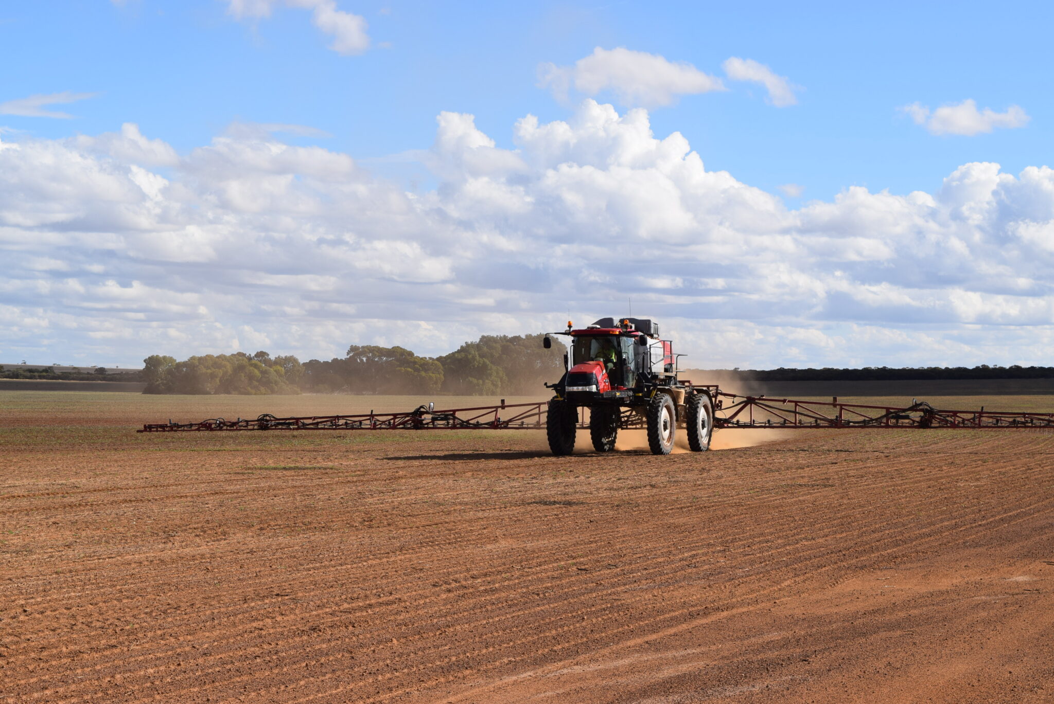 A professor’s top 5 insights from 12 days of seeding - CCDM