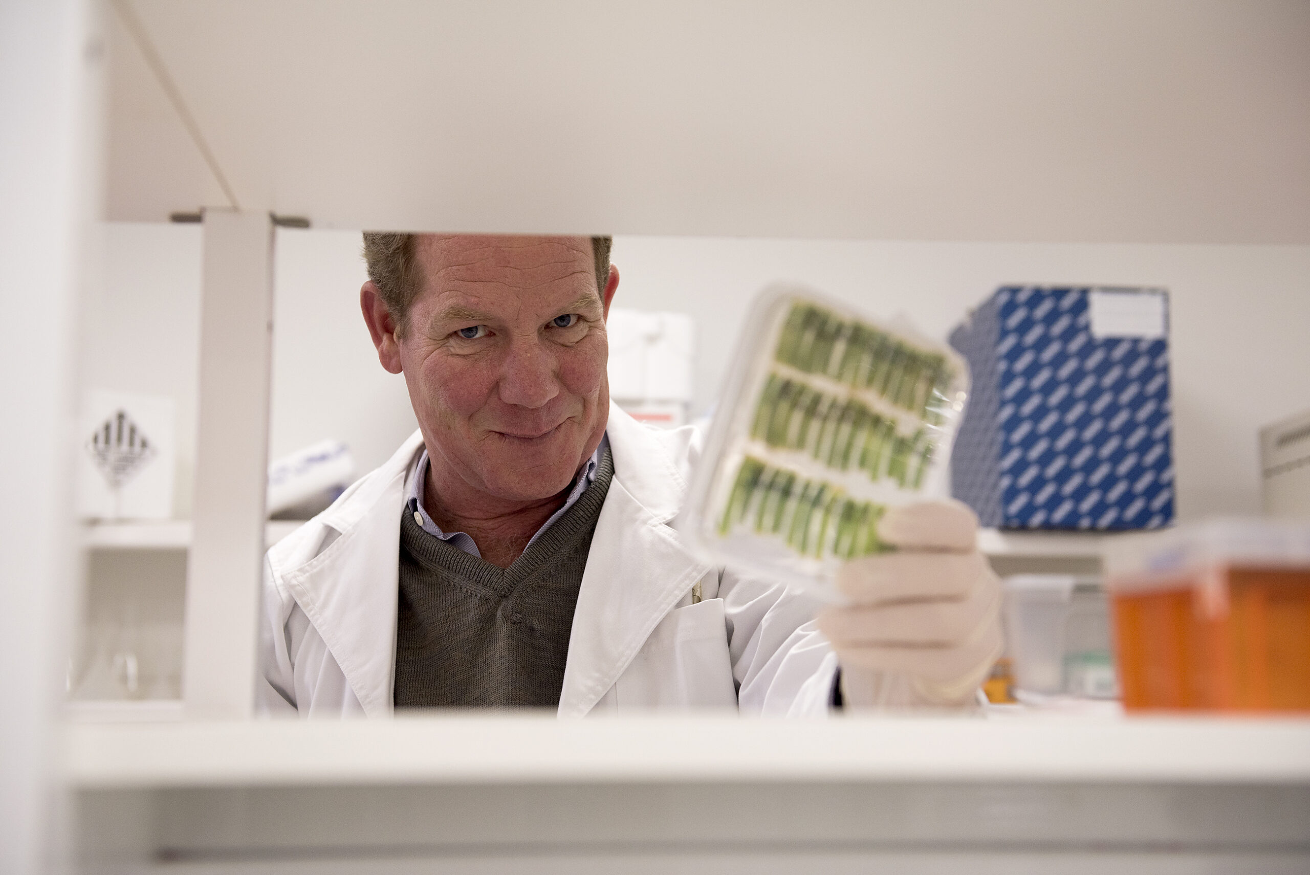 Barley work at CCDM fights back at net blotch - CCDM