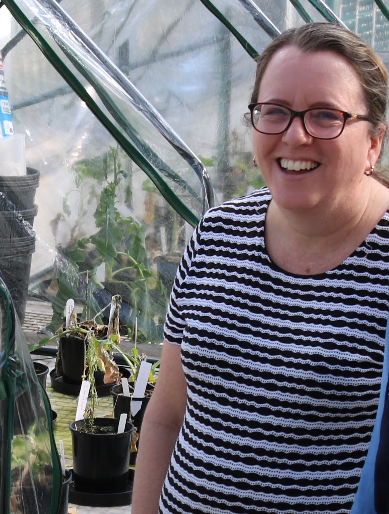 Resistant varieties the best way to fight sclero, and we’re getting ...