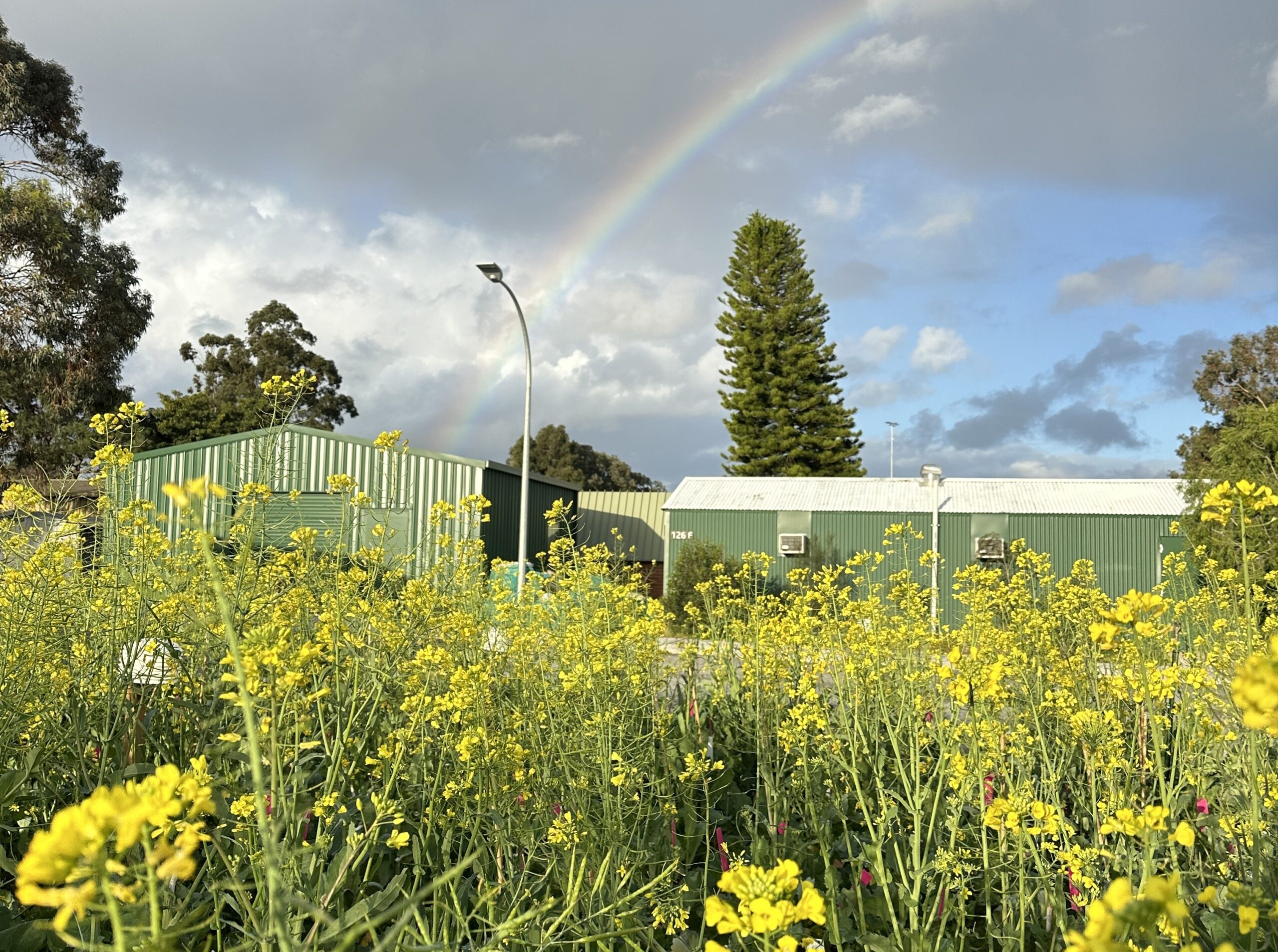 CCDM Centre Overview 2023 - CCDM