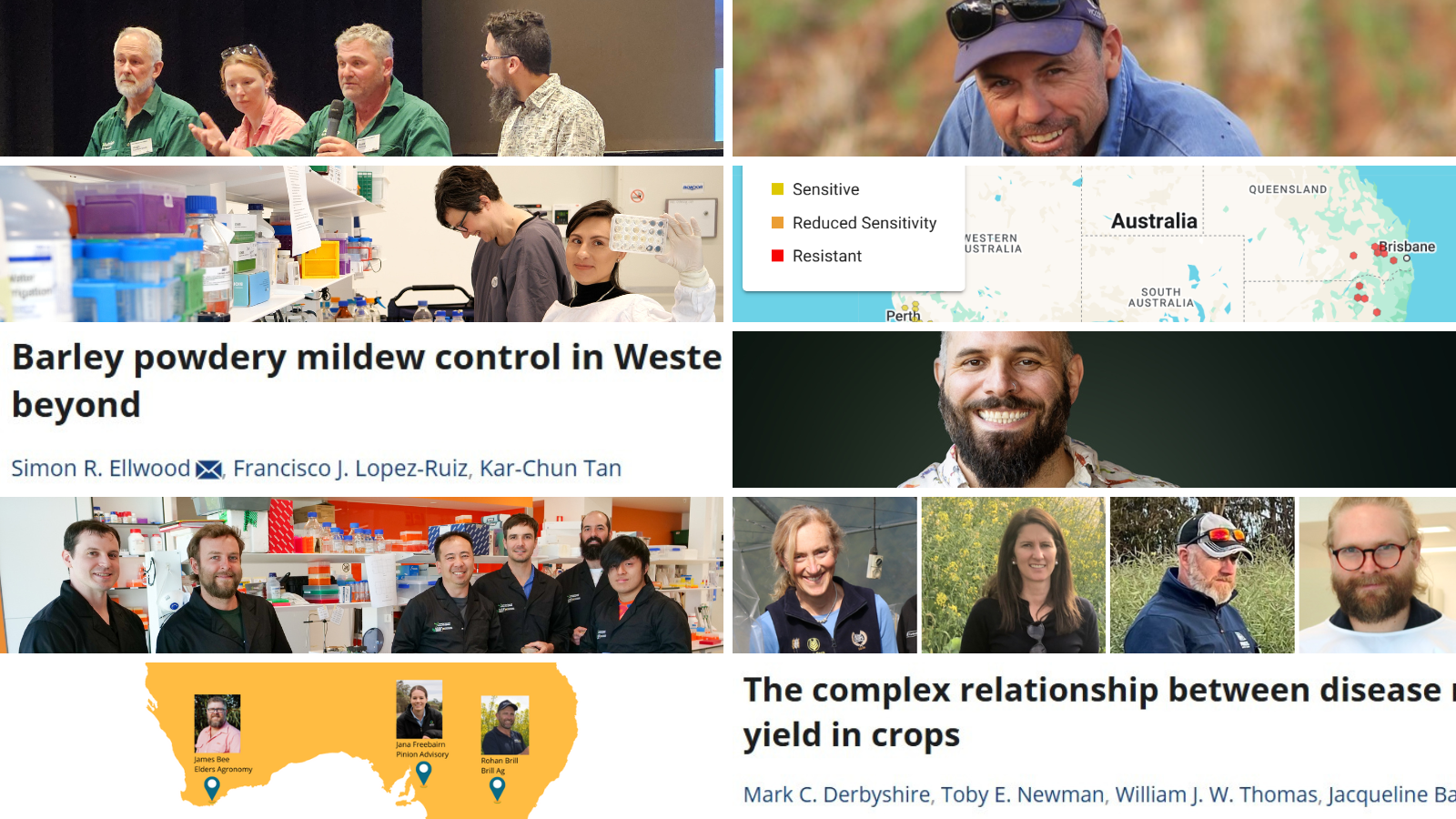 10 CCDM discoveries of 2024 that could make a difference in your patch ...
