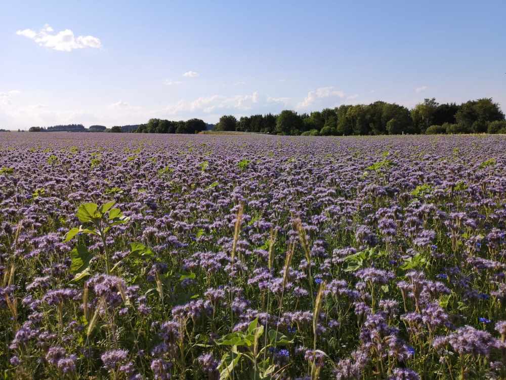 Pioneering Green Logistics Solutions | Creo Logistics