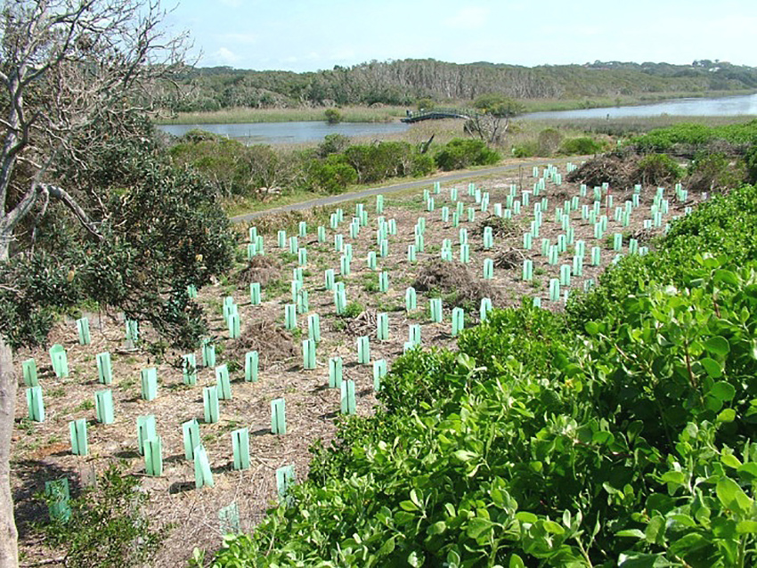 National Demolition Program - Duratec Limited