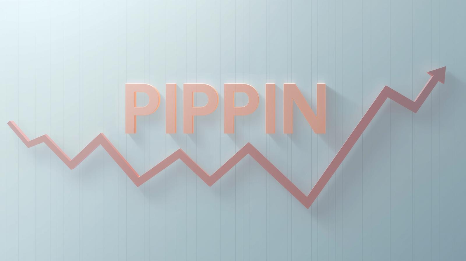 PIPPIN nears record levels as rising outflows test rally strength | Grafa