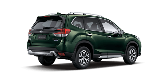 Subaru Forester For Sale in Fyshwick ACT | Review Pricing ...