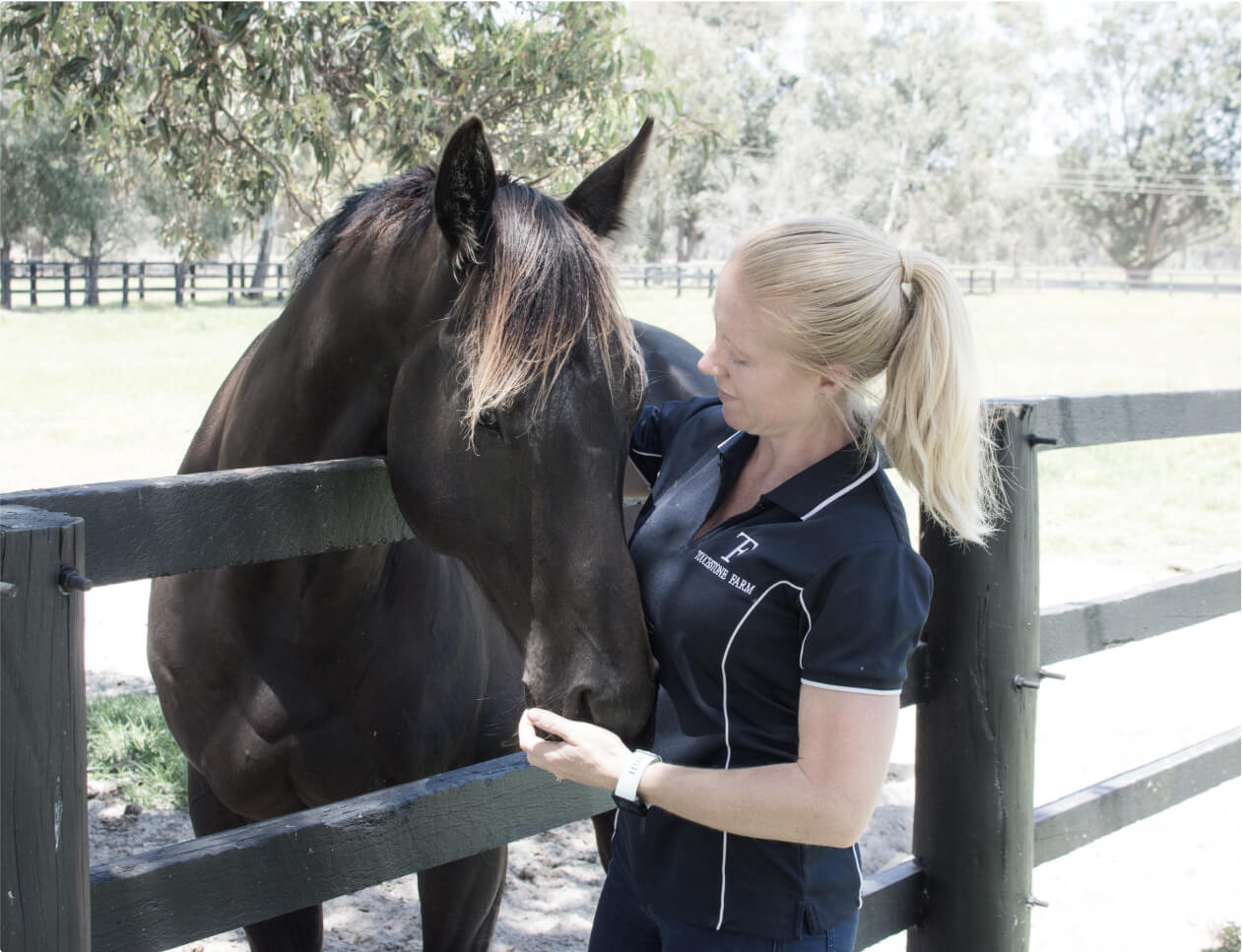 Our Story - About Milne Feeds | Pegasus Feed