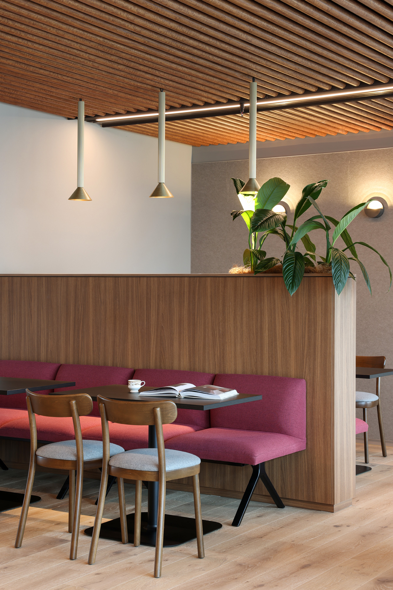 Perdaman Office - MLP Light