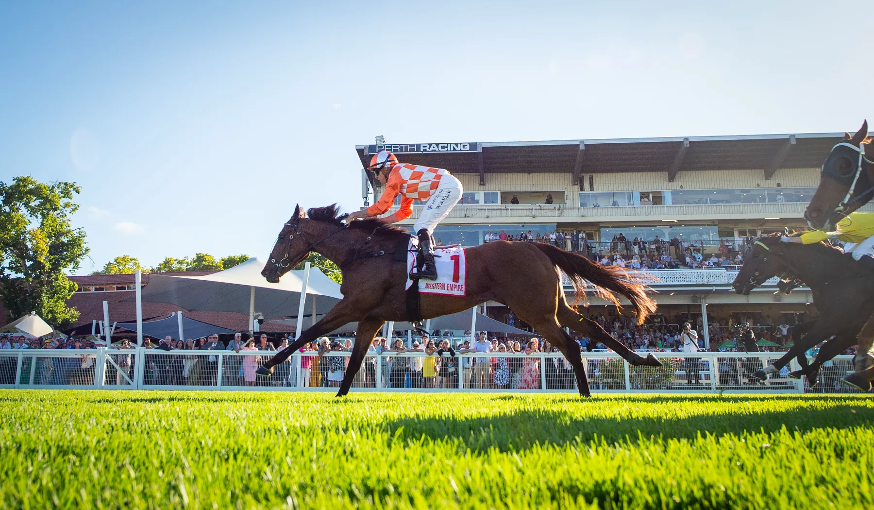 Home | Perth Racing | Perth Thoroughbred Racing