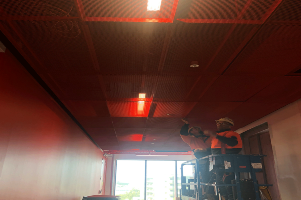 Expanded Mesh Texture Ceilings - SAS | Perth