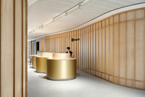 SAS 200 | Metal Pan Ceiling | SAS International | Perth WA