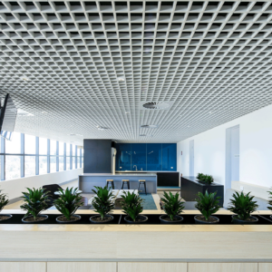 SAS 800 | Open Cell Ceilings | SAS International | Perth WA