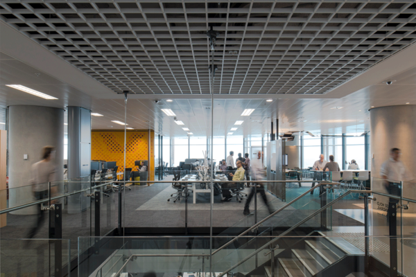 SAS 800 | Open Cell Ceilings | SAS International | Perth WA