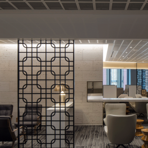 SAS 150 | Metal Pan Ceiling | Progressive Materials