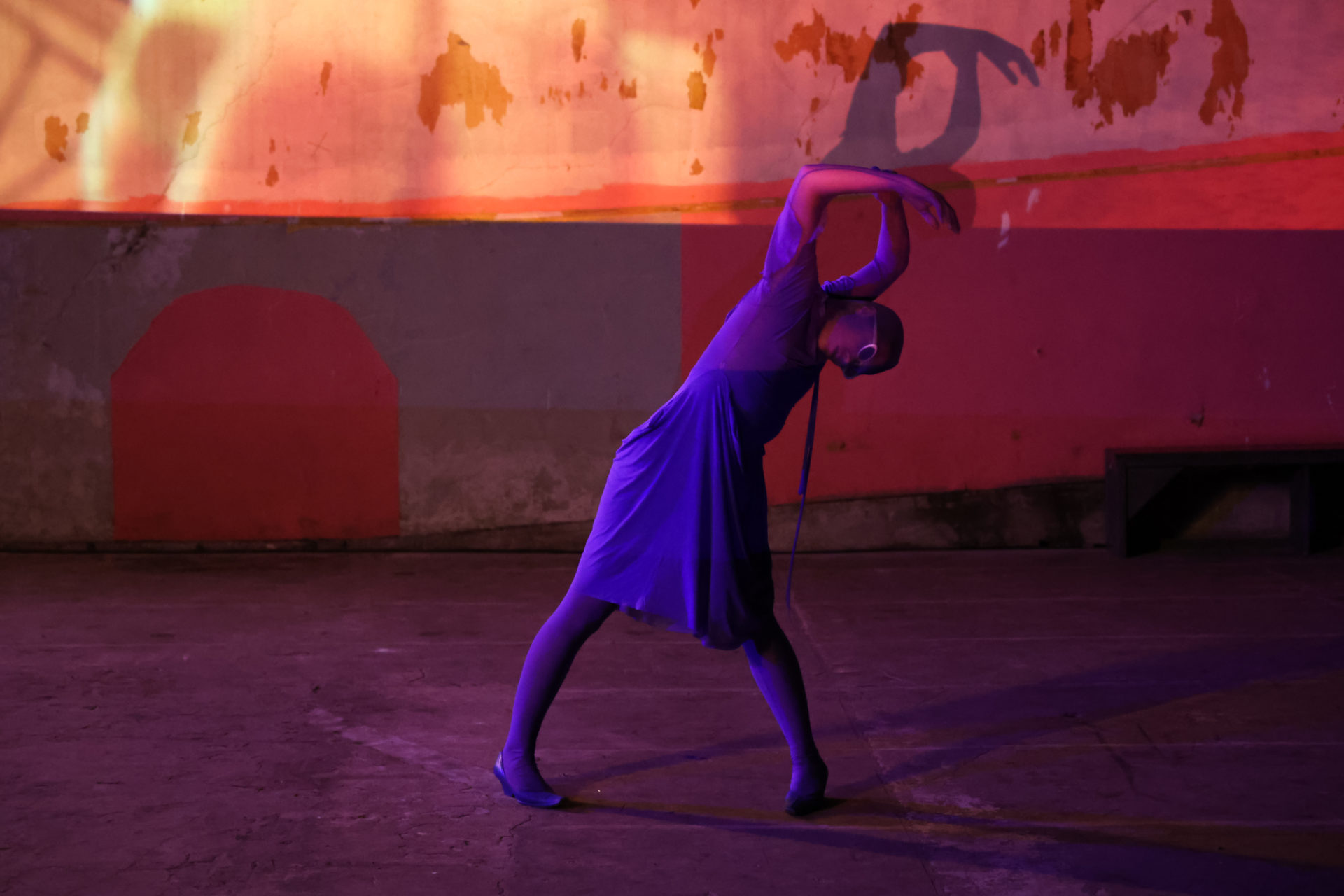 Evolve | STRUT Dance