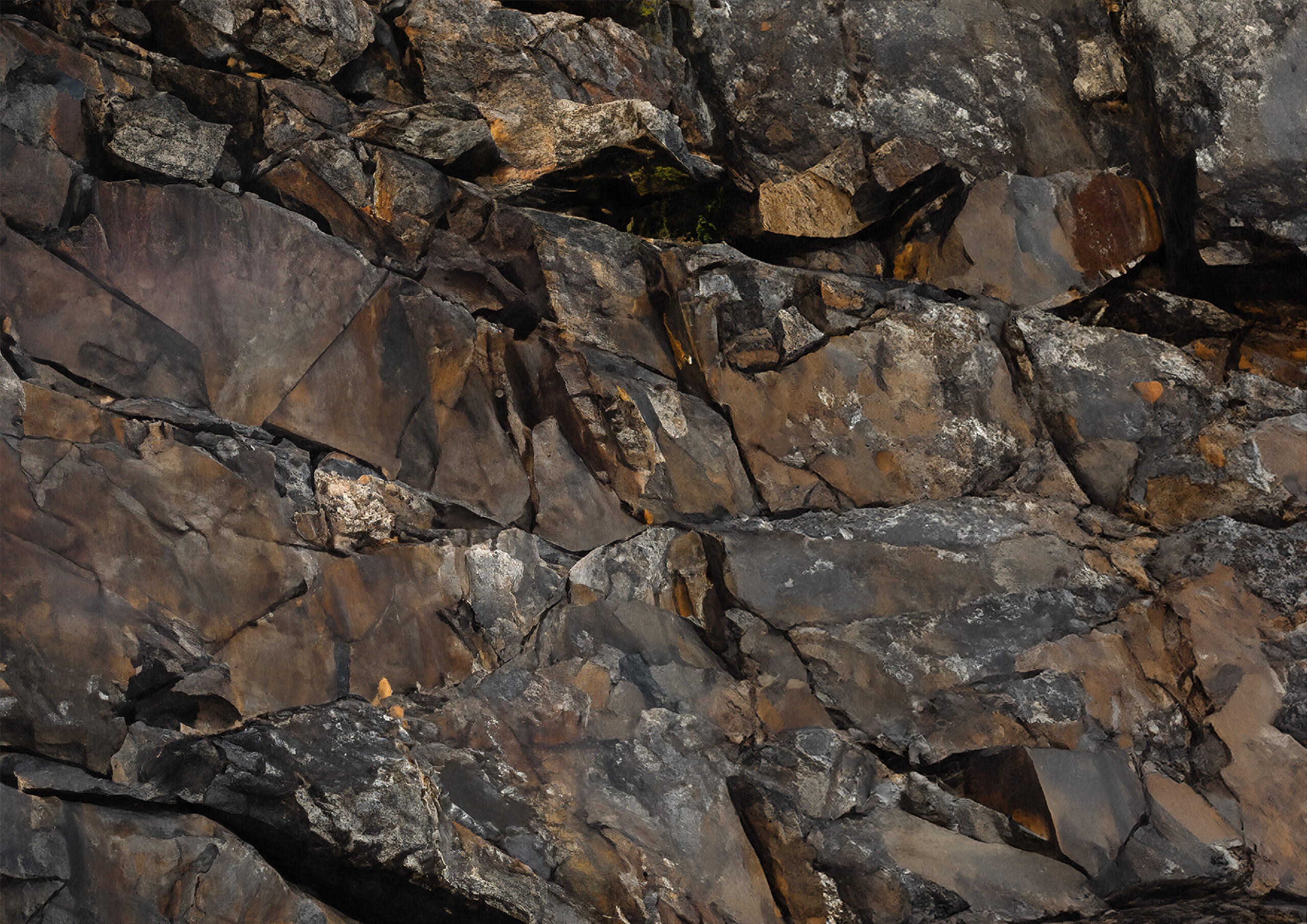 Perth Moves 2025 - Workshop Series | STRUT Dance