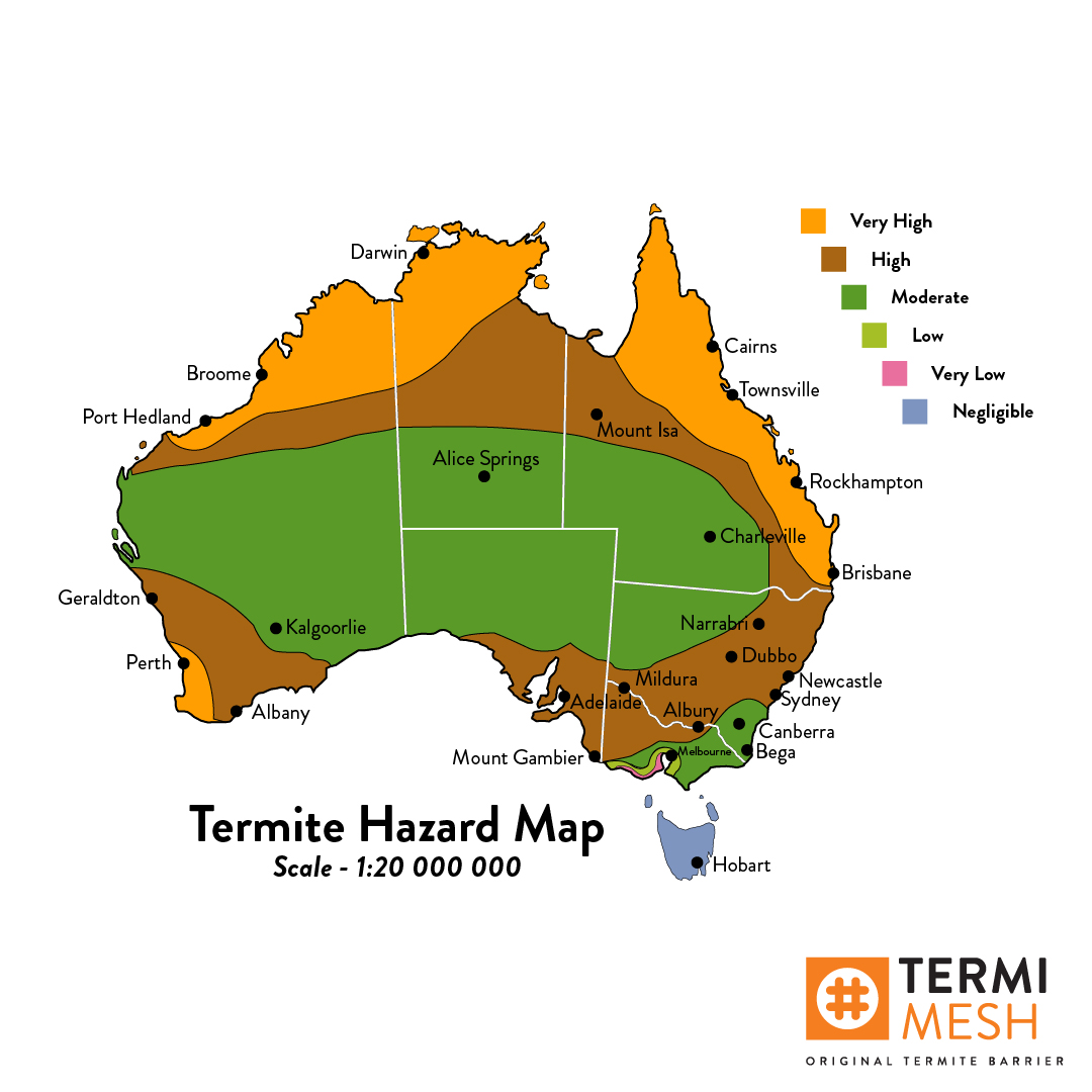 Protect Your New Home From Termites