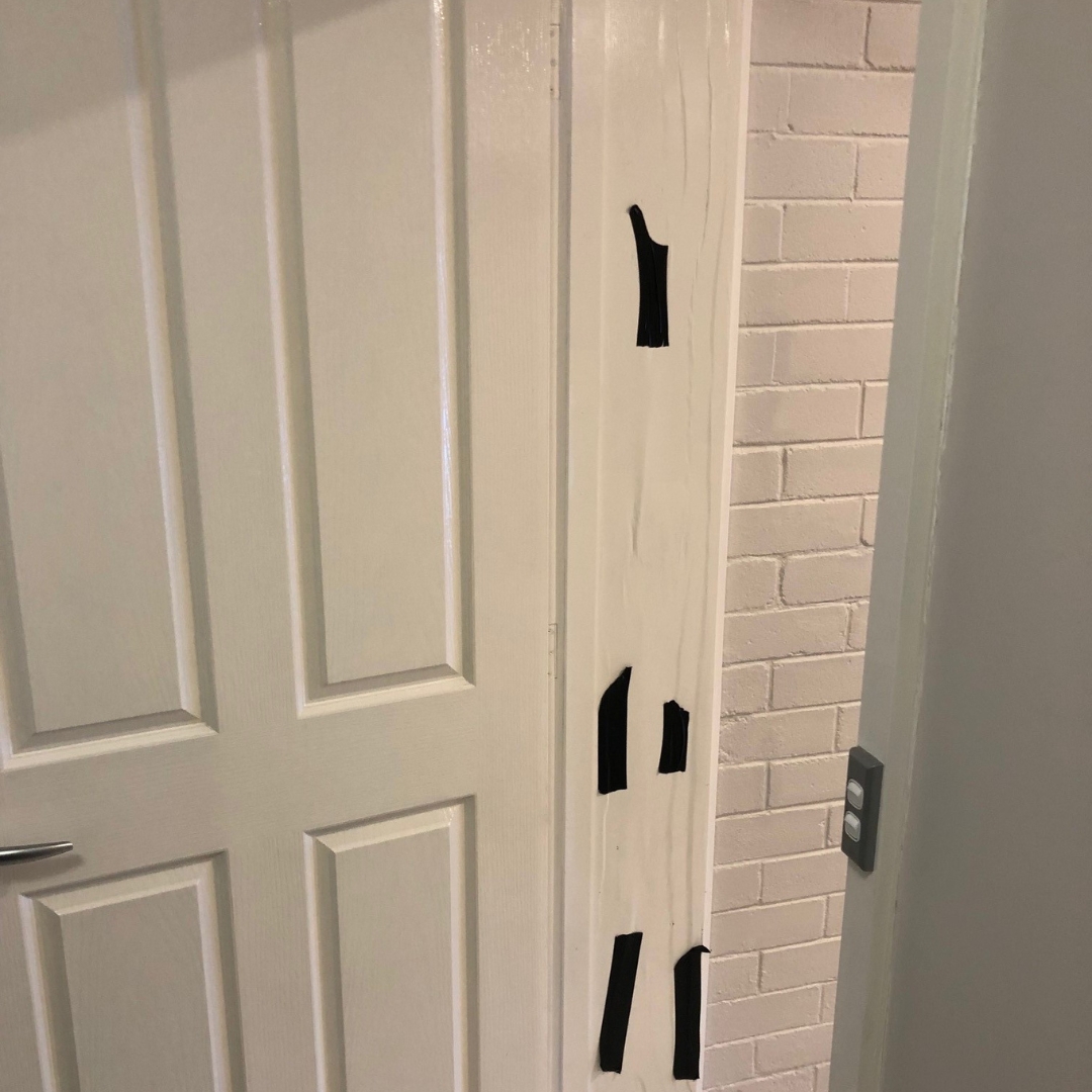 5 Common Signs of Termite Infestation | Termi Home & Commercial