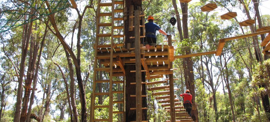 What to do in Parks - High Ropes Adventure - WA Parks Foundation