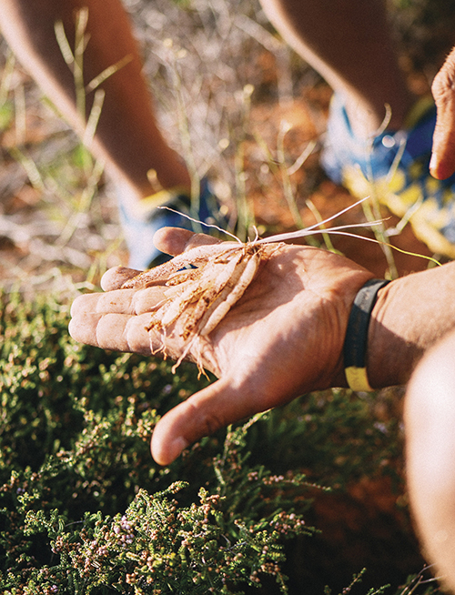 Walyunga Dreaming - WA Parks Foundation