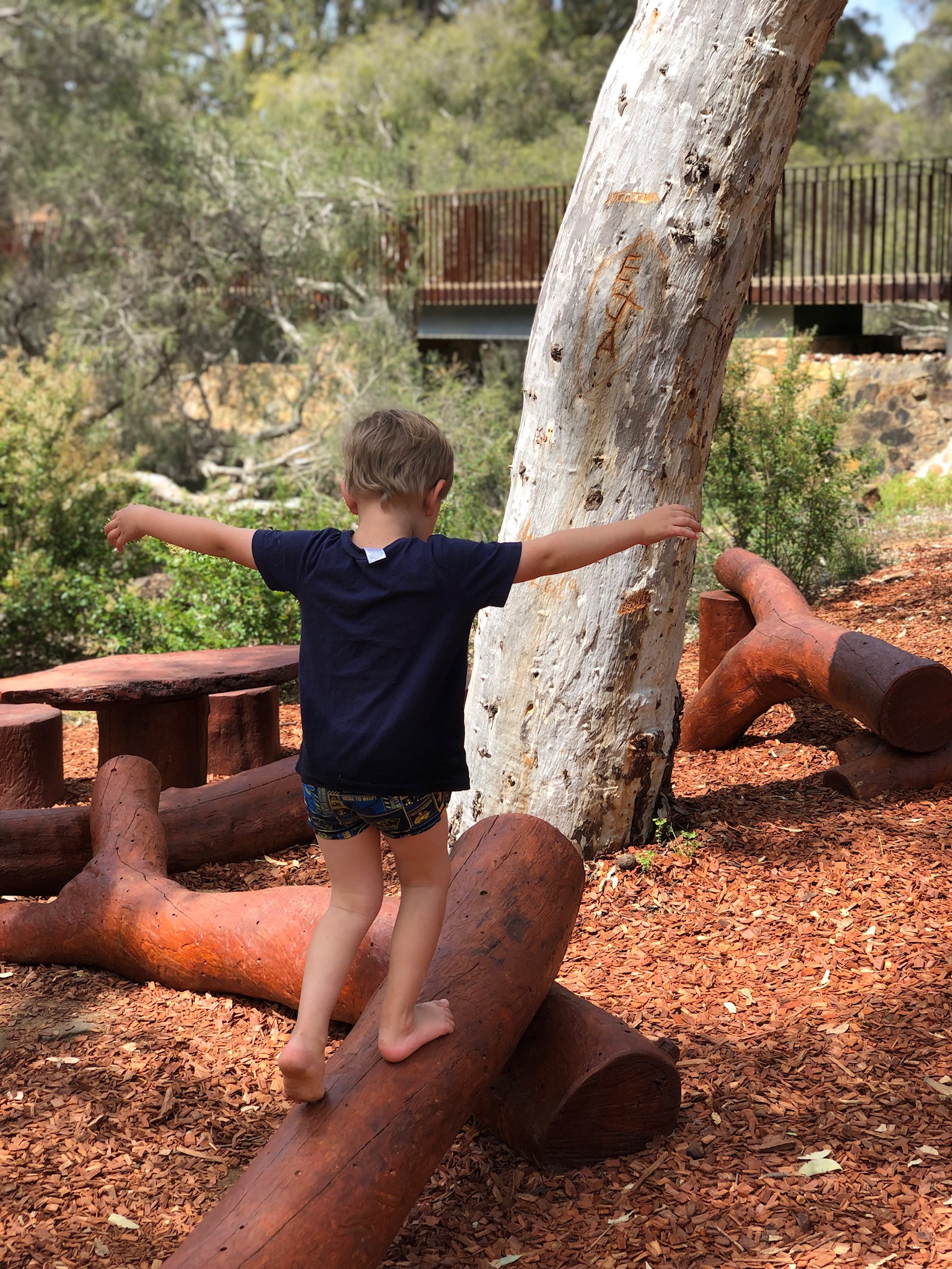 Praise for new nature playground - WA Parks Foundation