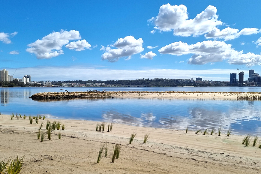 Island haven for Swan River birds - WA Parks Foundation