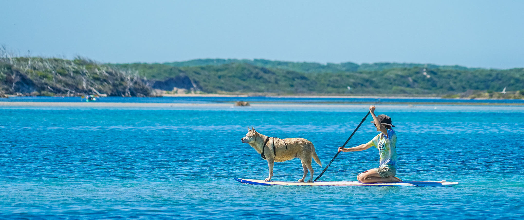 Pick up a paddle for fitness and fun - WA Parks Foundation