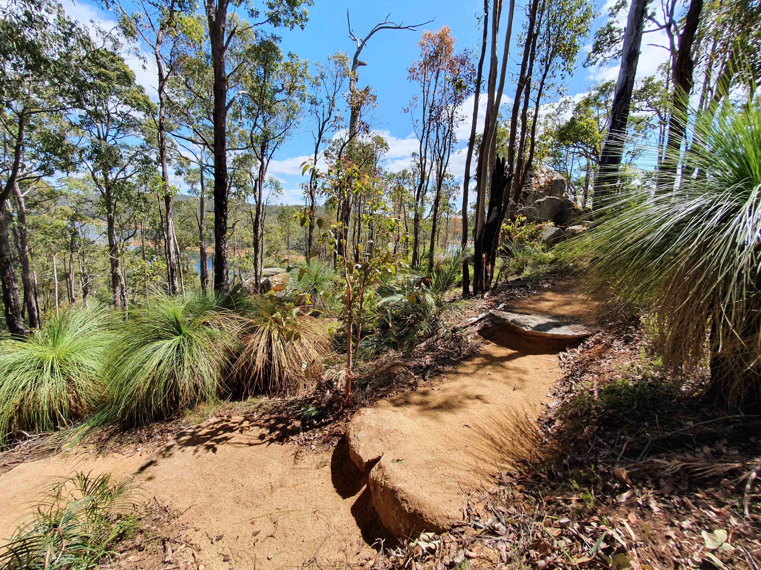 Wiilman Bilya Trail on Track - WA Parks Foundation