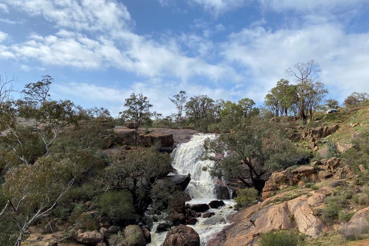 Revitalisation of John Forrest National Park - WA Parks Foundation