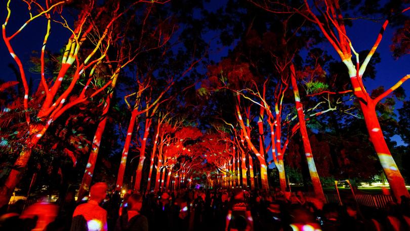 Multi-sensory EverNow event coming soon - WA Parks Foundation