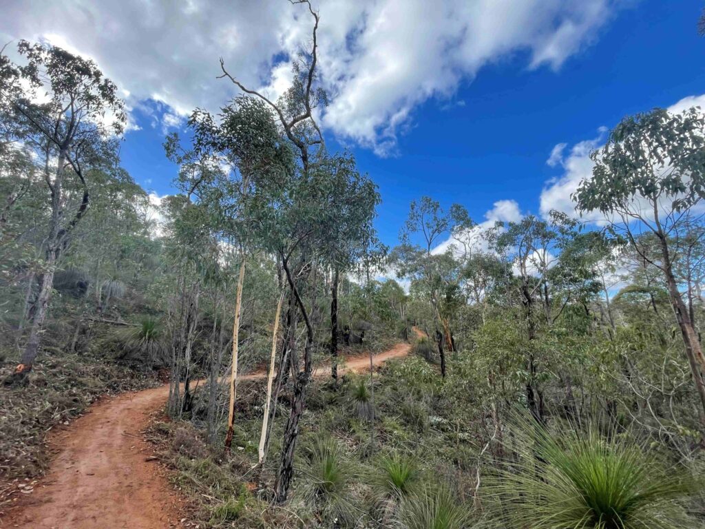 Trails improvements for John Forrest National Park - WA Parks Foundation
