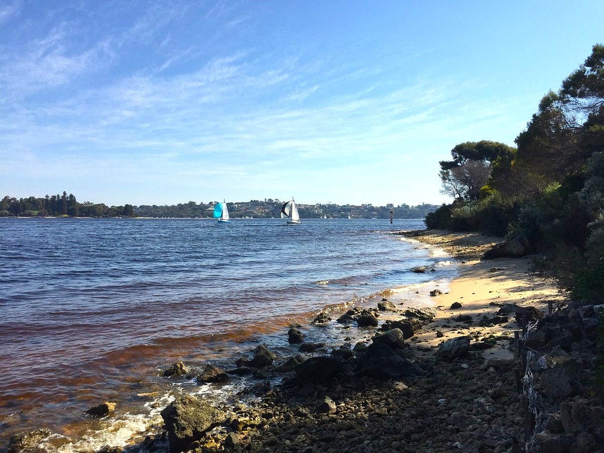 Grants available for Swan Canning foreshore restoration - WA Parks ...