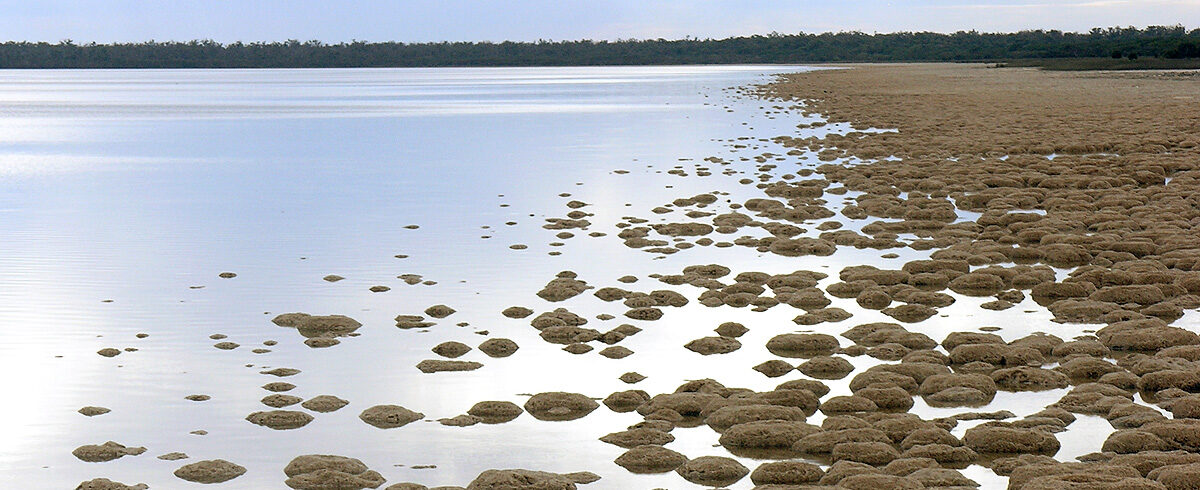 Explore the Binjareb-Peel Geotrail Drive - WA Parks Foundation