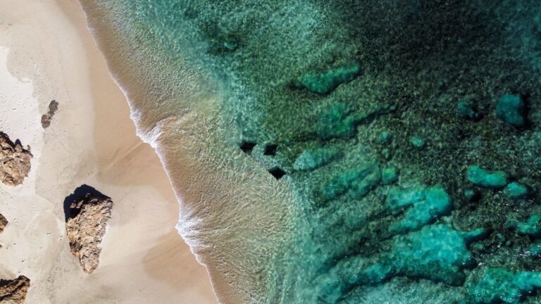 Photo and video competition winners announced - WA Parks Foundation