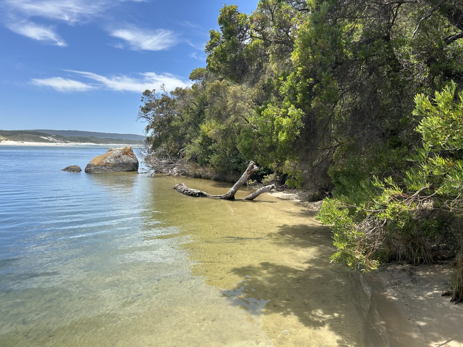 The Walpole and Nornalup of Gary Muir - WA Parks Foundation
