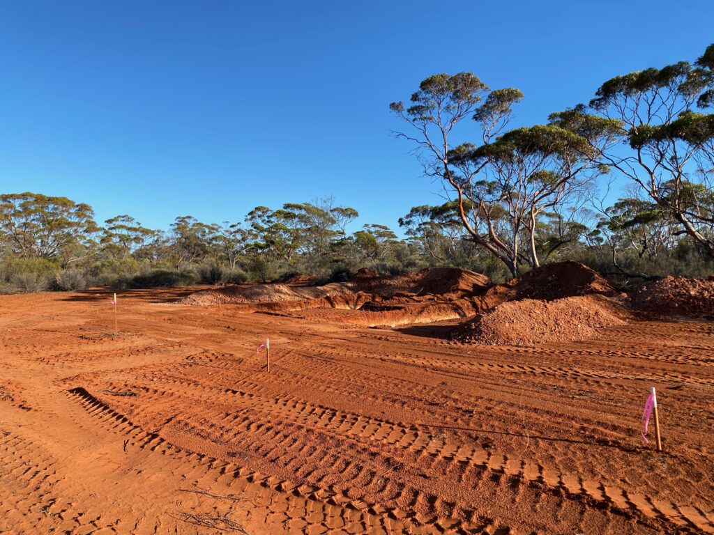 WoMG - Western Mines Group