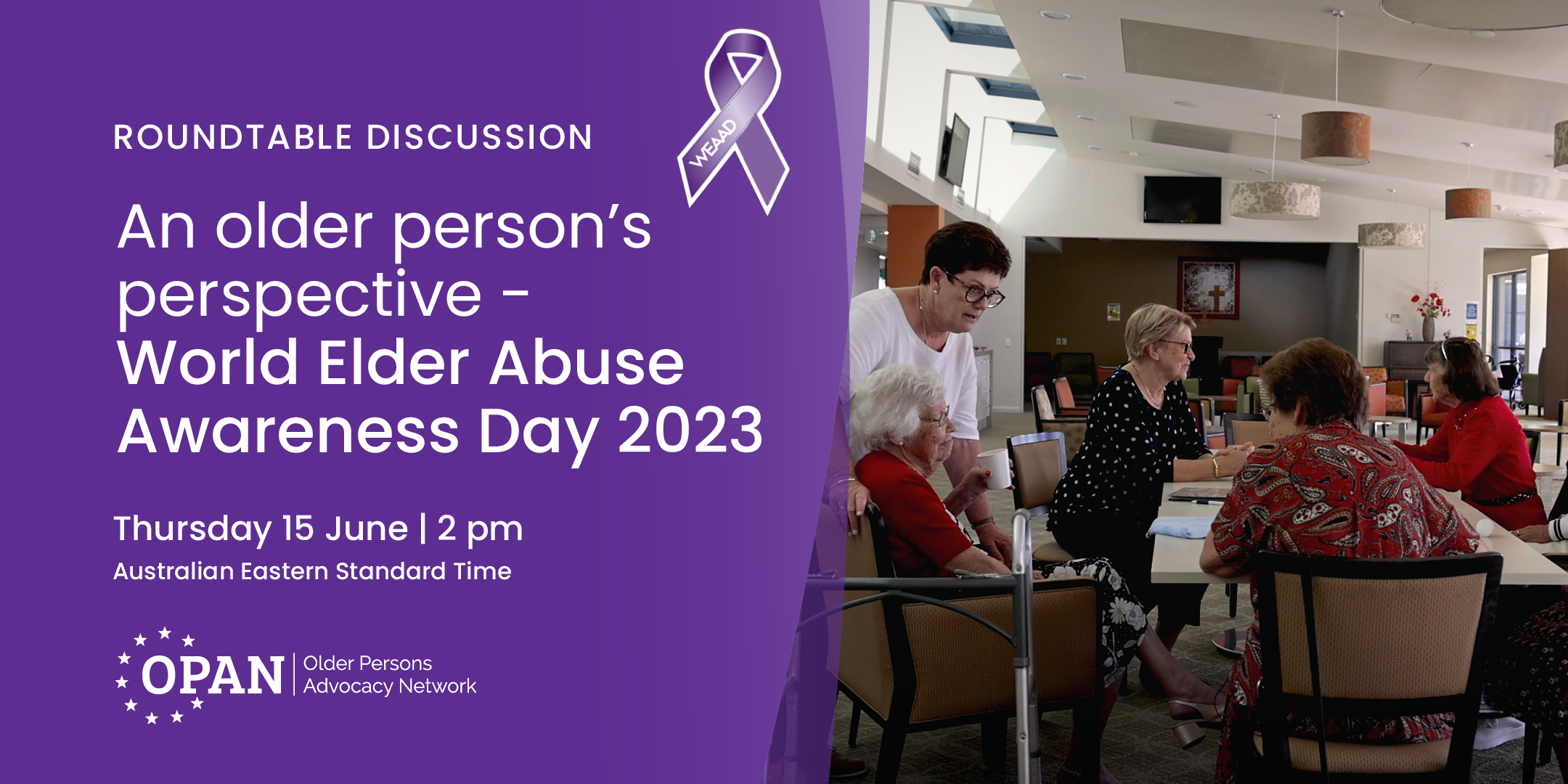 World Elder Abuse Awareness Day Roundtable 2023 - OPAN