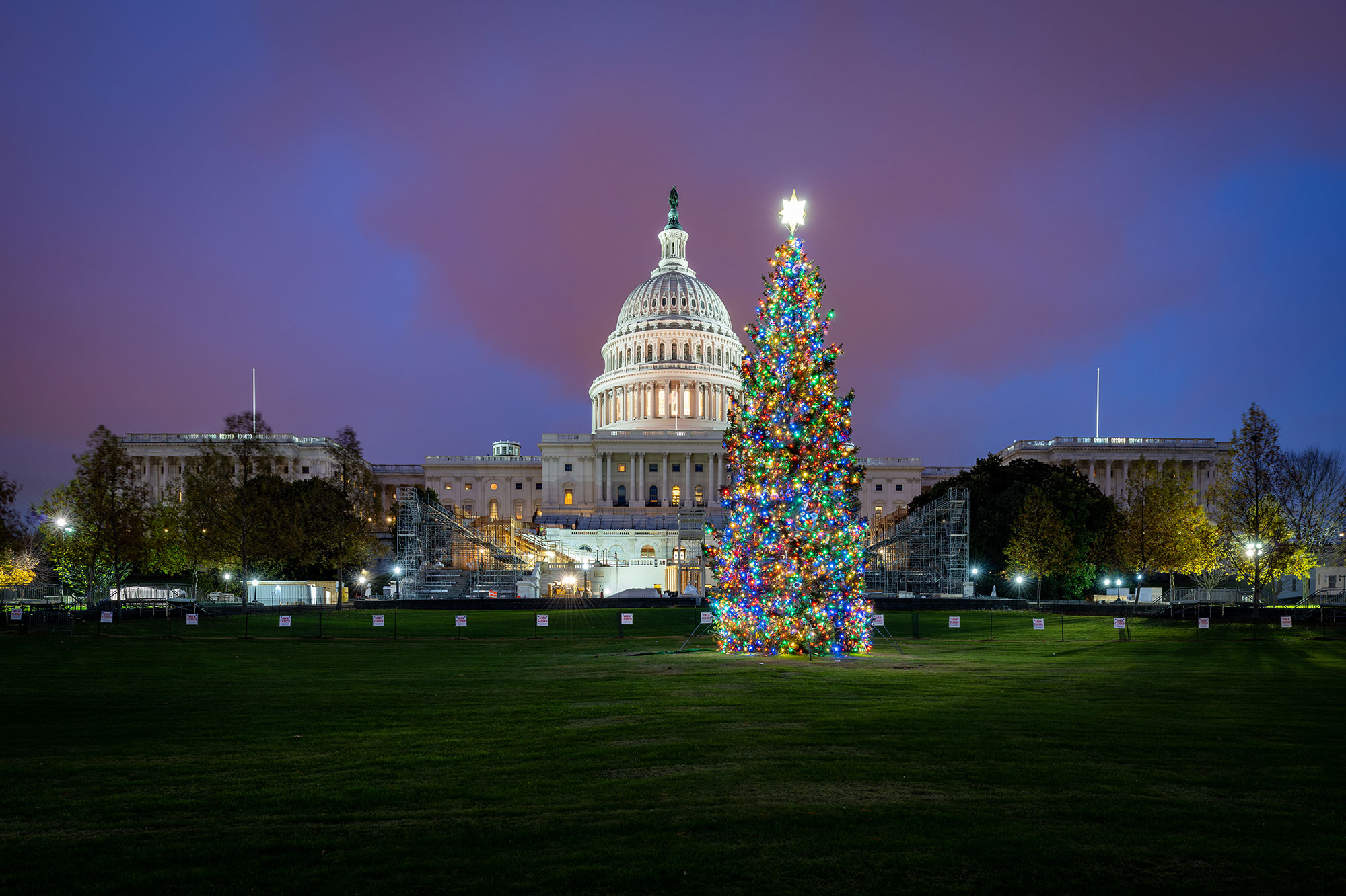 Five spectacular Christmas trees from around the world – Greek Herald