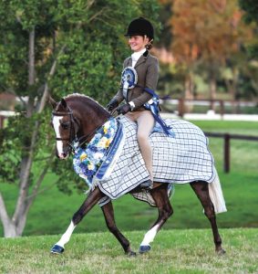 Kate Kyros named among South Australia's rising stars in equestrian ...