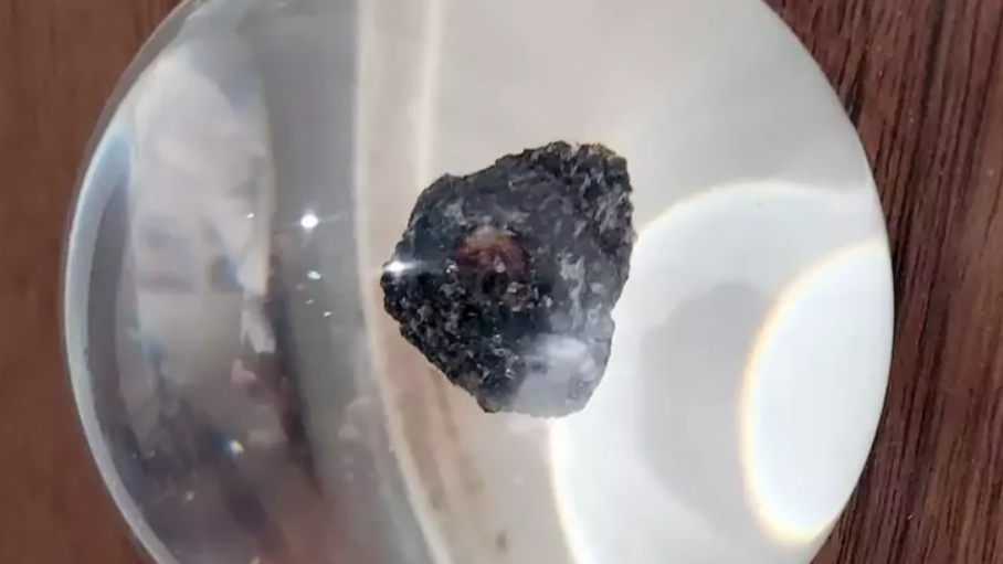 Rare Apollo mission moon rock returns to Cyprus after 50 years – The ...