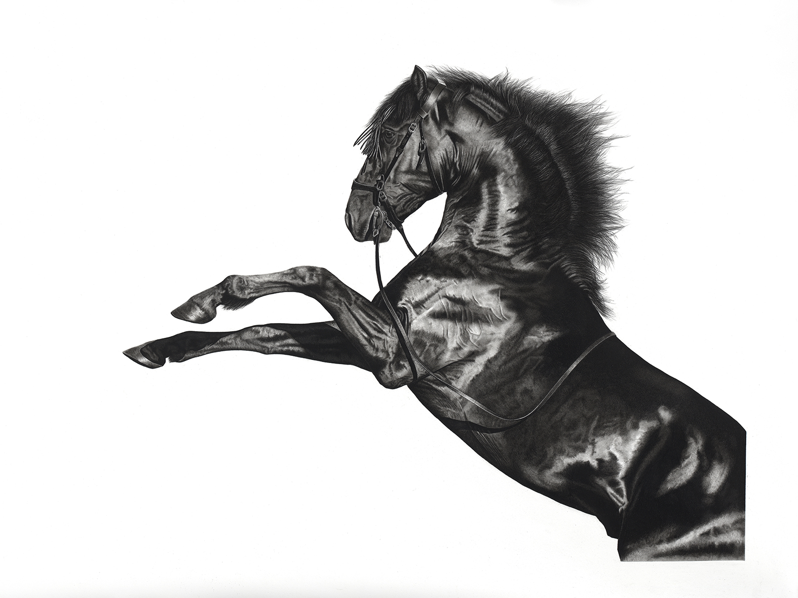 margo-1 – Greek Herald